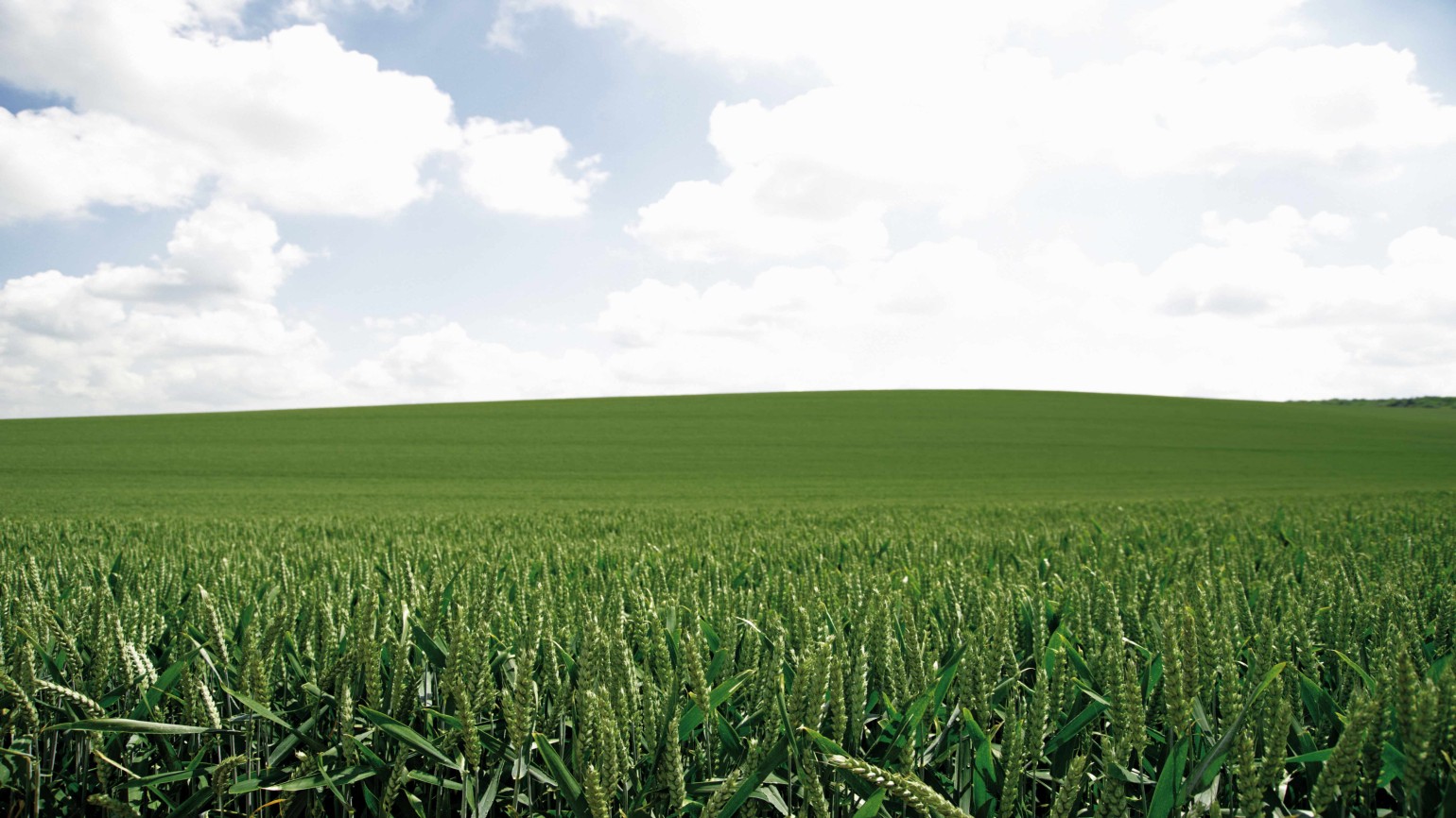 BASF Ethiopia