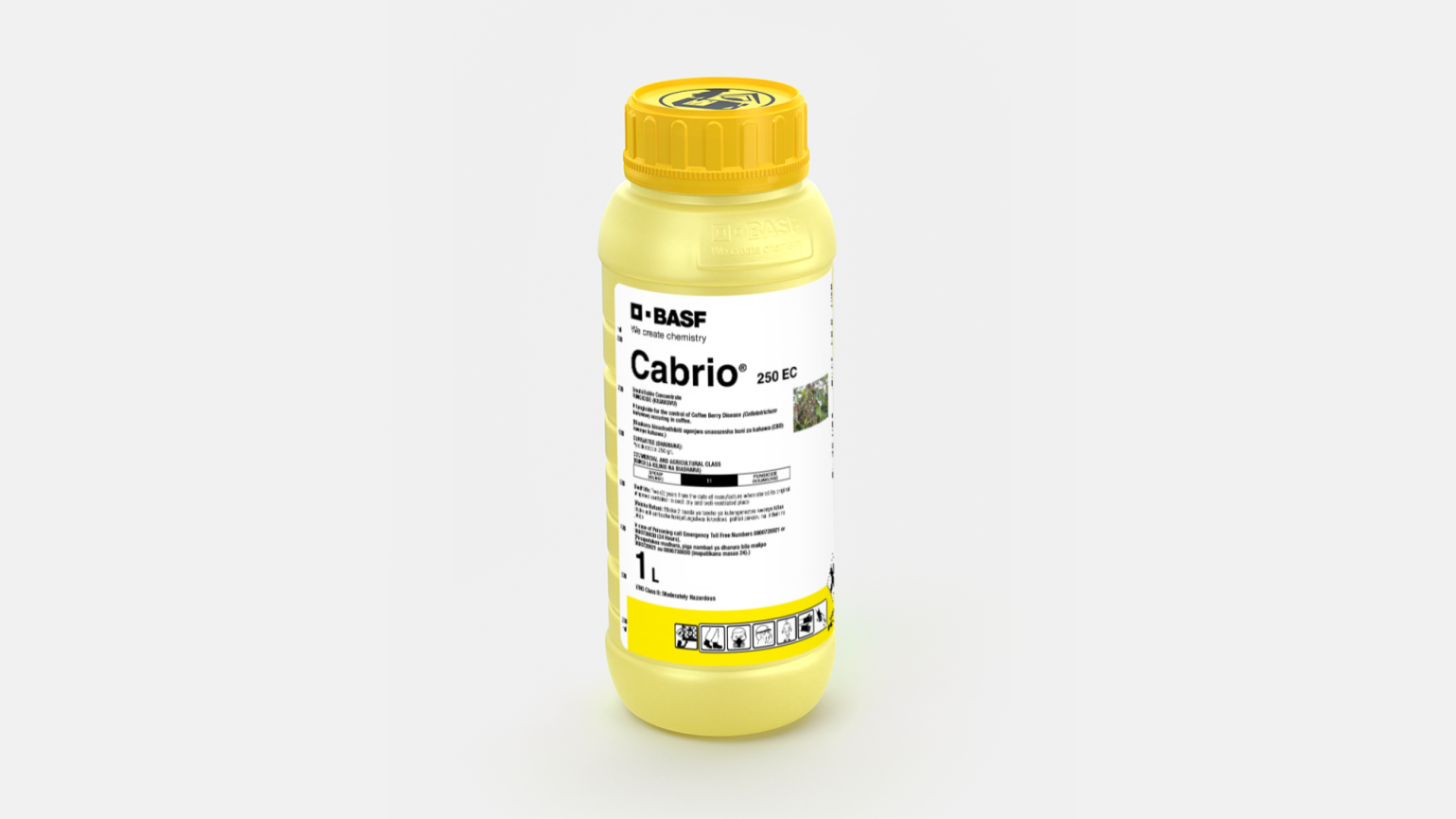 Cabrio Duo Fungicide (BASF Brand) Nigeria | atelier-yuwa.ciao.jp