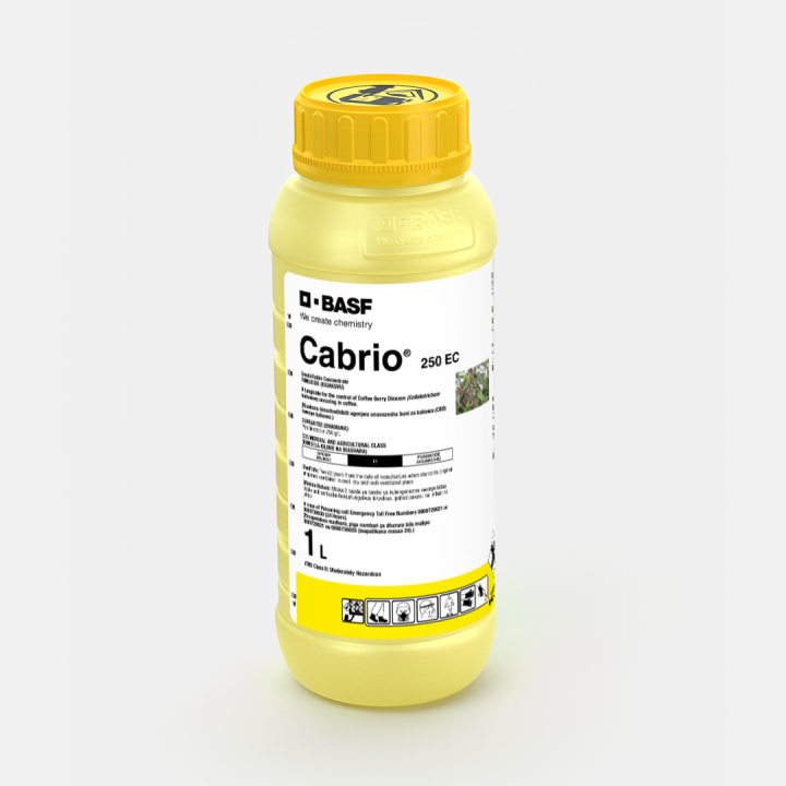 Leaf rust - Agricultural Solutions