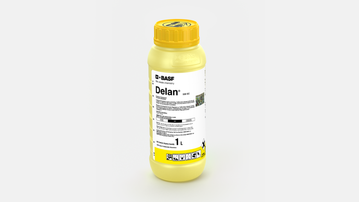 BASF Delan