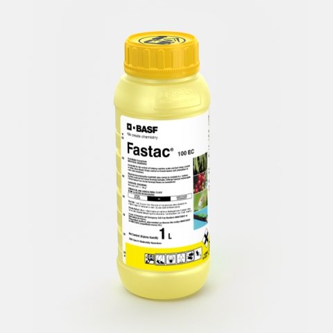 Insecticides - Agricultural Solutions