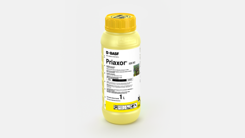 Priaxor® 225 EC - Agricultural Solutions